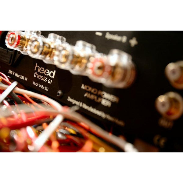Heed Audio - Thesis Omega - Mono Power Amplifier (each) - The Real ...